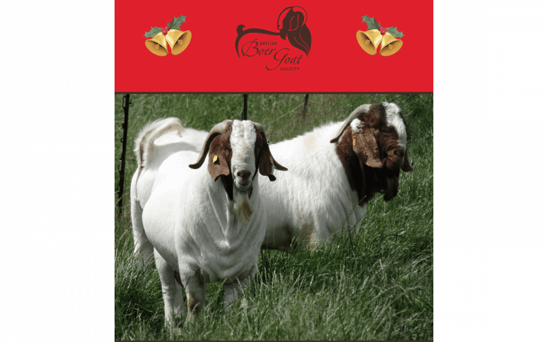 Magazines - British Boer Goat Society